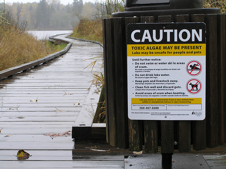 Harmful algal blooms – getting the word out –WALPA