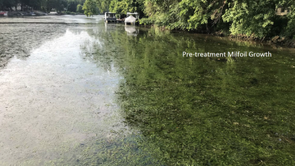 ProcellaCOR is a new tool for invasive aquatic plant management in the ...