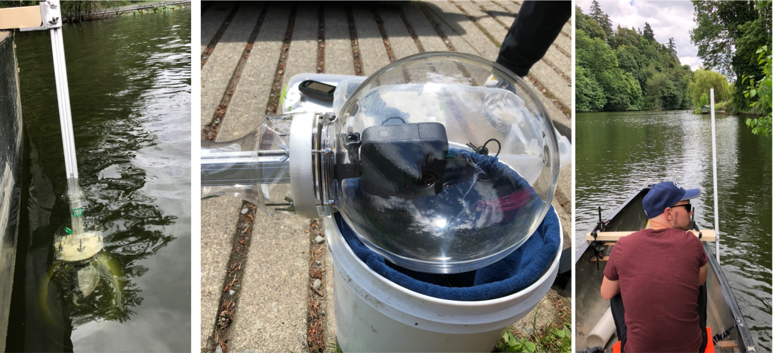 Underwater videography proves useful for lake-wide mapping of littoral ...