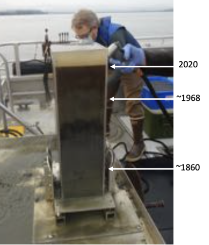 Revisiting the Lake Washington sediment record: what sediment coring ...